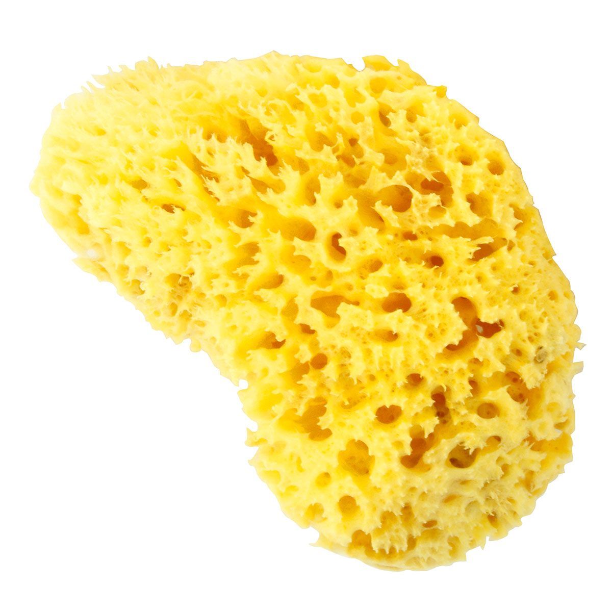 ESTIPHARM - Eponge naturelle Venise - Grand modèle